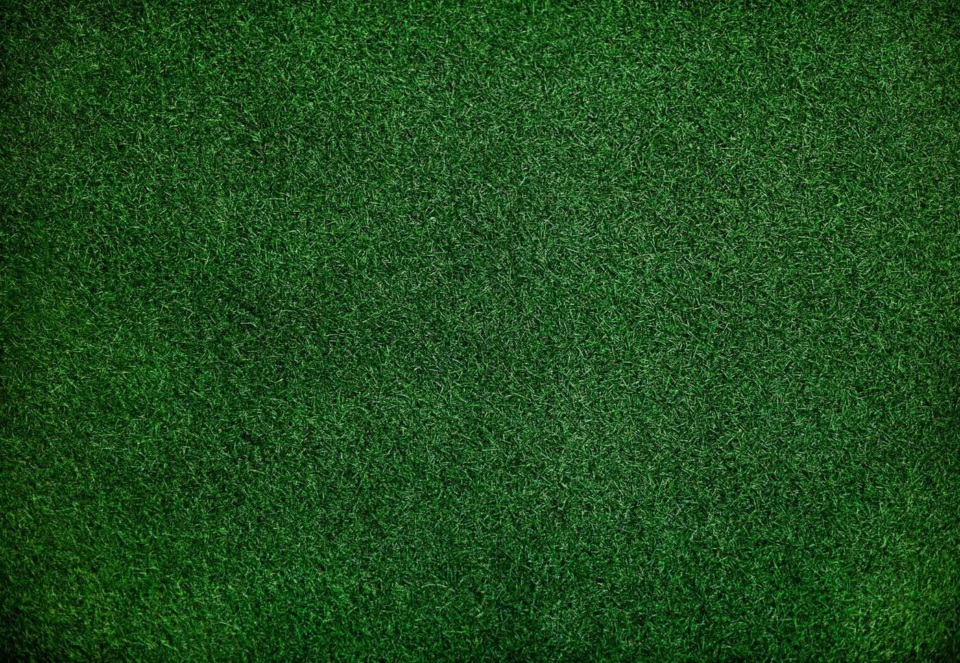Fabric Baby Backdrop - Green Grass Floor